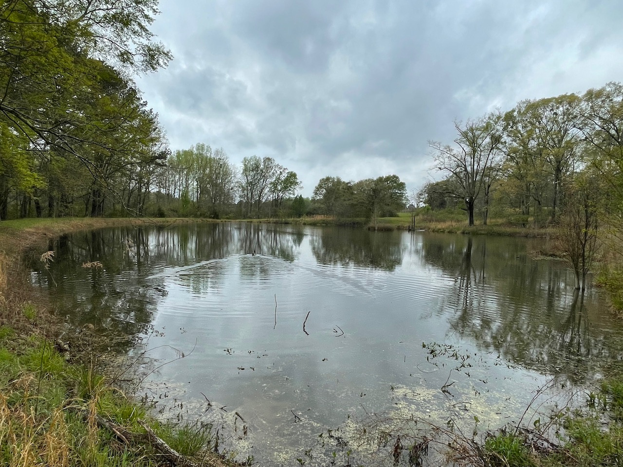 LARGE HOME on 68 AC GRIFFIN, SPALDING CO, GA AUCTION - Dempsey Auction ...