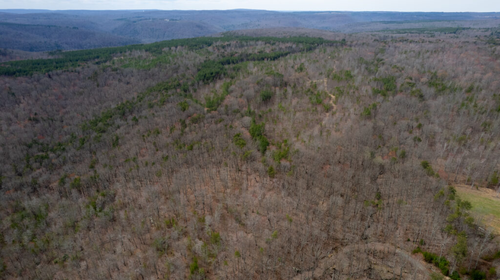 Savage Point | 534 acres Dunlap, Sequatchie County, TN Online Absolute ...