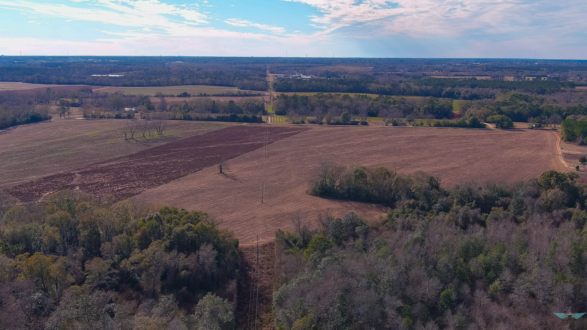 110-Acre Farm Dothan, Houston County, AL Auction | SOLD - Dempsey ...