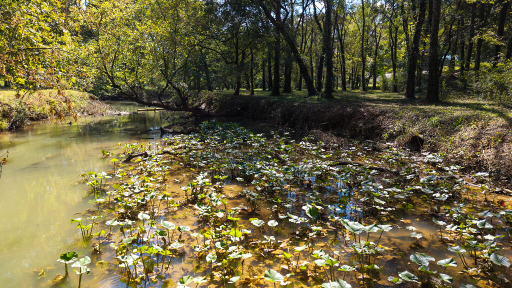 160± Acre Premier Farm Calhoun, Gordon County, GA Auction - Dempsey ...