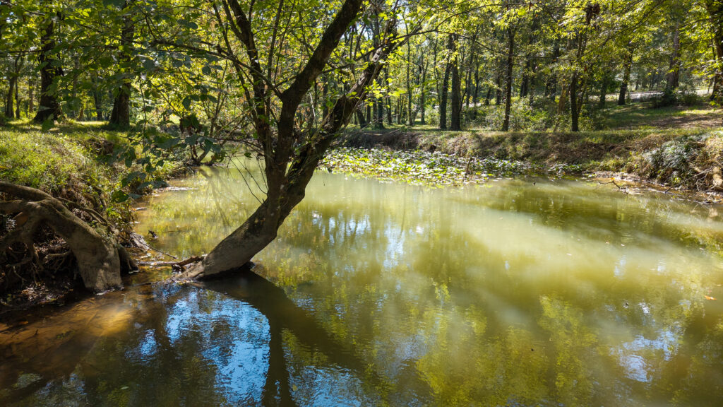 160± Acre Premier Farm Calhoun, Gordon County, GA Auction - Dempsey ...