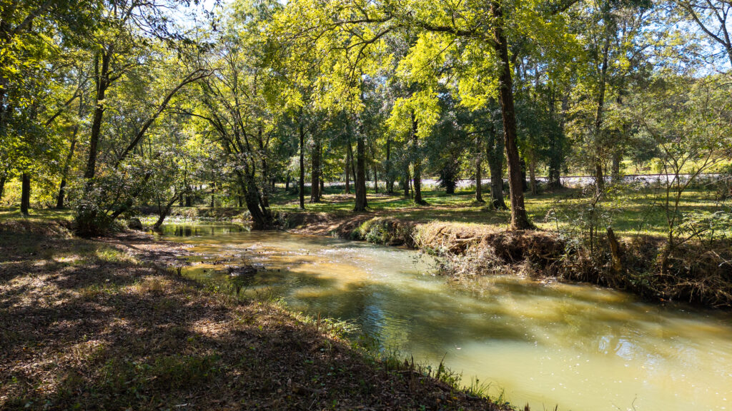 160± Acre Premier Farm Calhoun, Gordon County, GA Auction - Dempsey ...