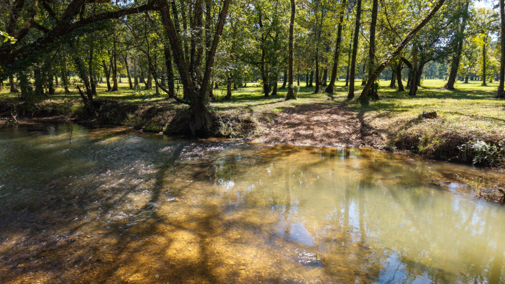 160± Acre Premier Farm Calhoun, Gordon County, GA Auction - Dempsey ...