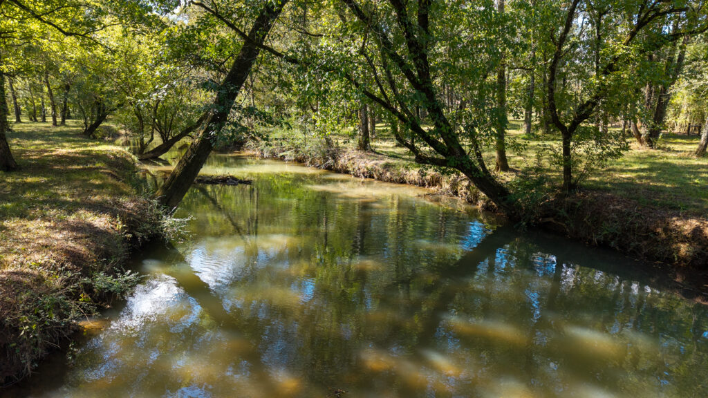 160± Acre Premier Farm Calhoun, Gordon County, GA Auction - Dempsey ...